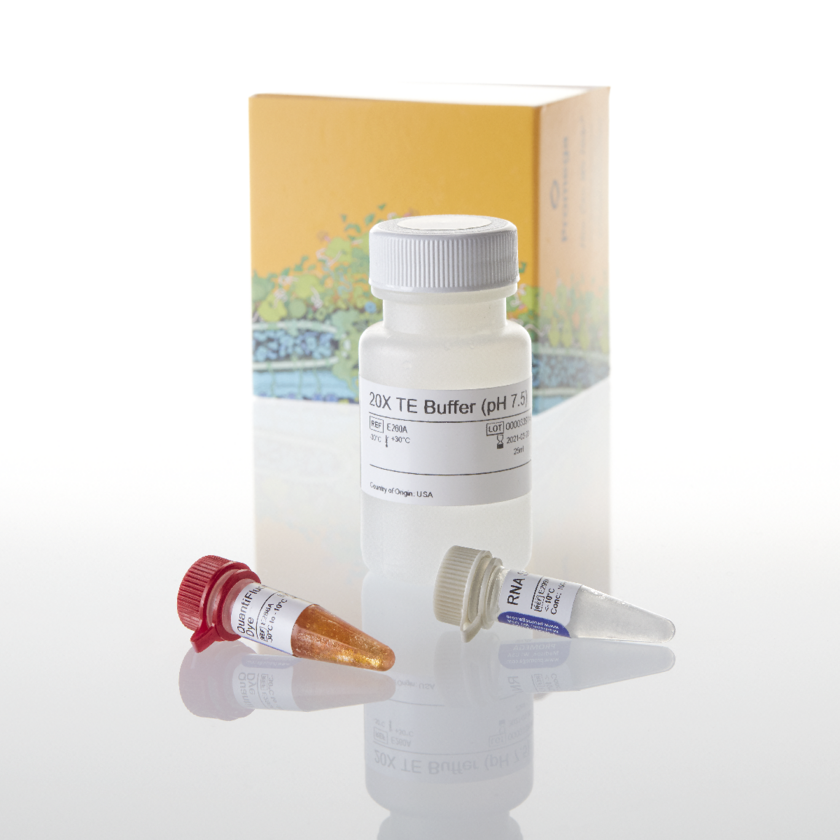 QuantiFluor RNA System Nerliens Meszansky AS